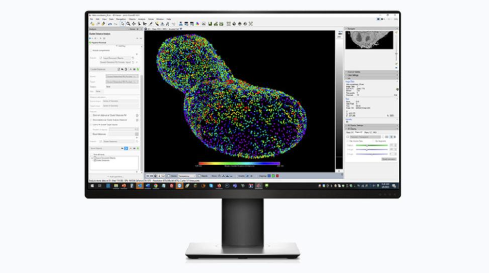 Enabling 3D Multiplexing Spatial Omics Workflows in Neuroscience