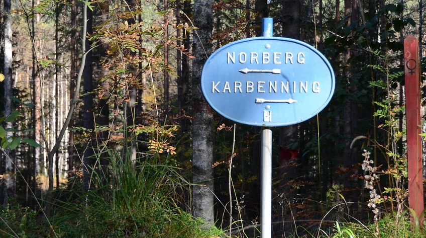 Här finns det kobolt att hämta i Sverige