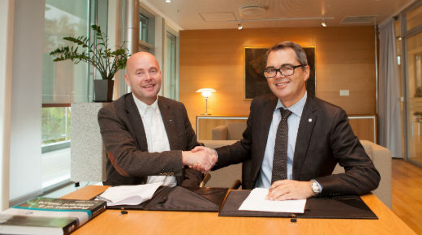 Lys idé settes ut i livet