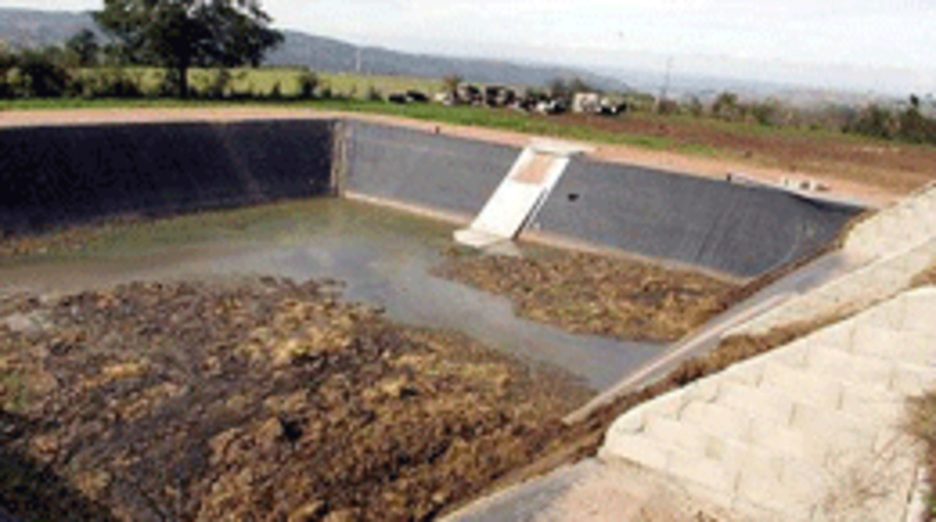 Bigadan i samarbejde om biogasanlæg ved Gedved