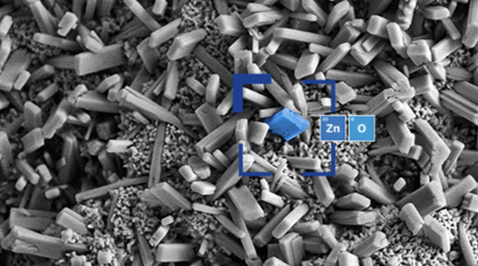 Webinar: Good to see you. Reveal the unseen. With ZEISS SEM series