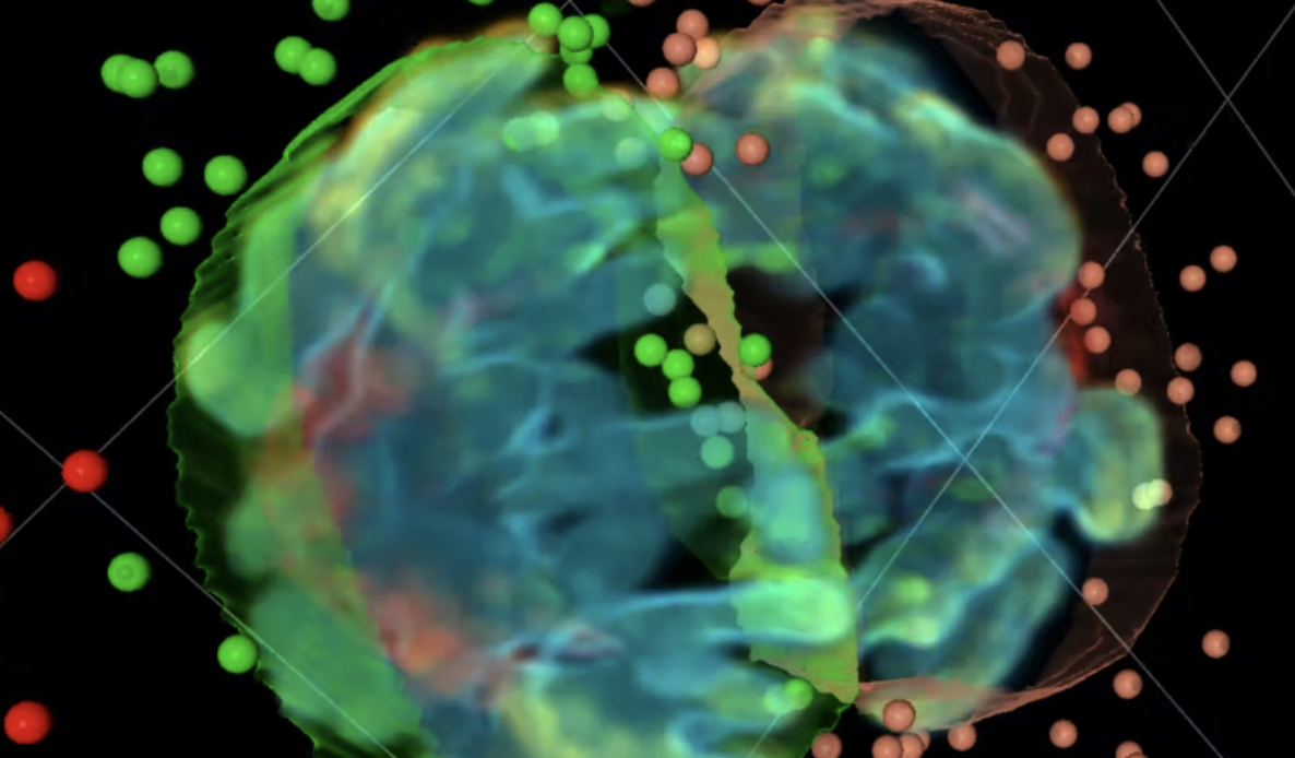 Boost your Research with Advanced Image Analysis