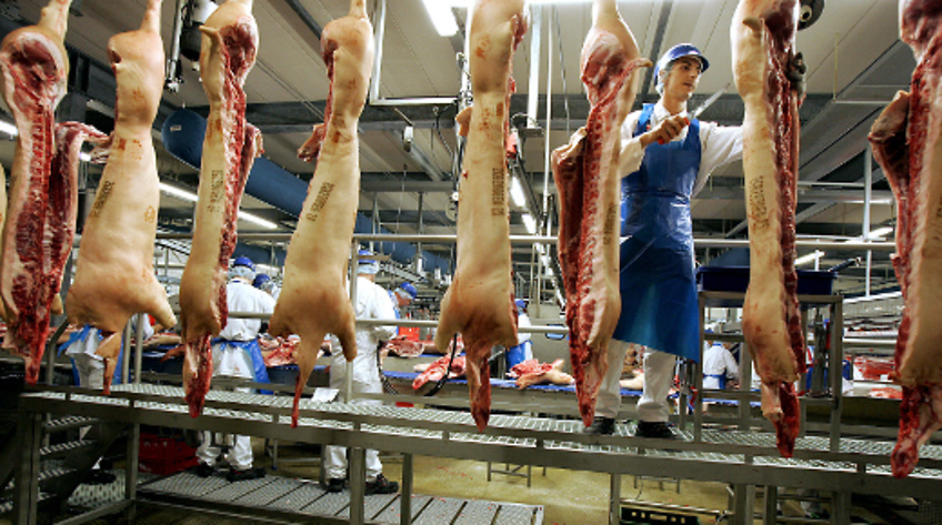 DanePork klar til at øge produktionen