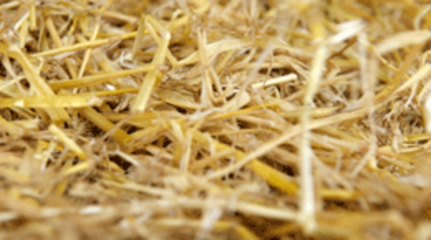 DONG sælger halmværk til Haslev Fjernvarme