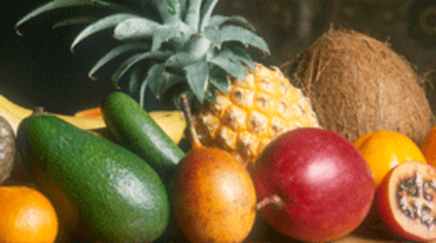 Inco Danmark vil også økologien