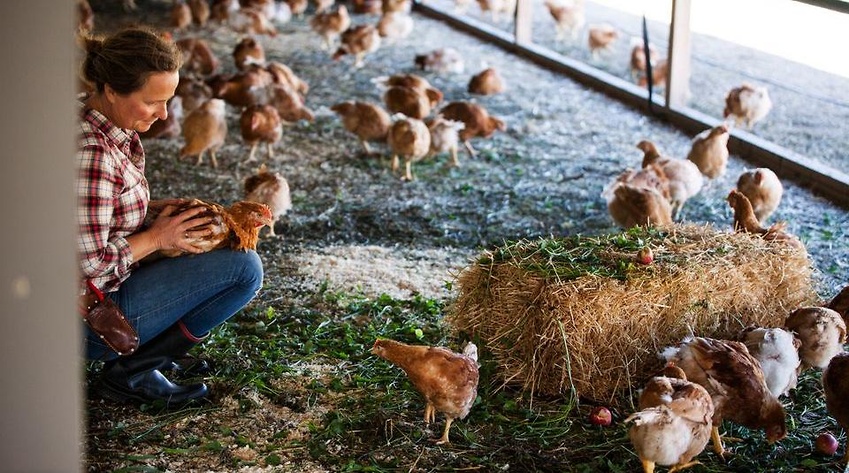 Reduserer plasten med 70 %