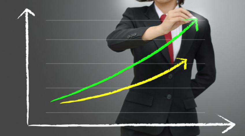 Dan-Doors ruster sig til vækst