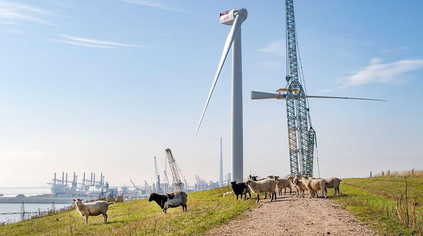 Endnu et PtX-anlæg til Esbjerg: European Energy er lun på et areal i Måde