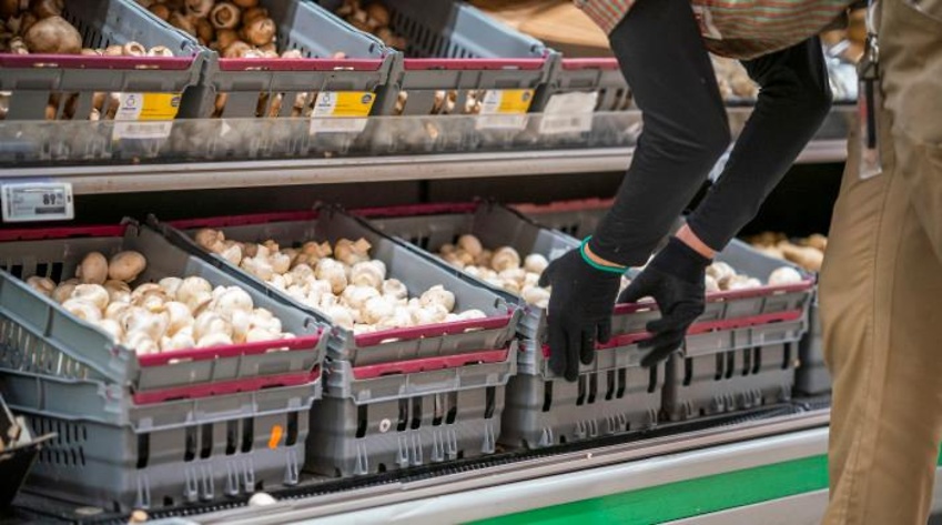 SRS-backar eftertraktat byte för tjuv