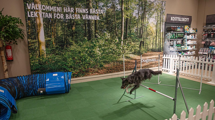 Dogman närmar sig 30 butiker i egen regi