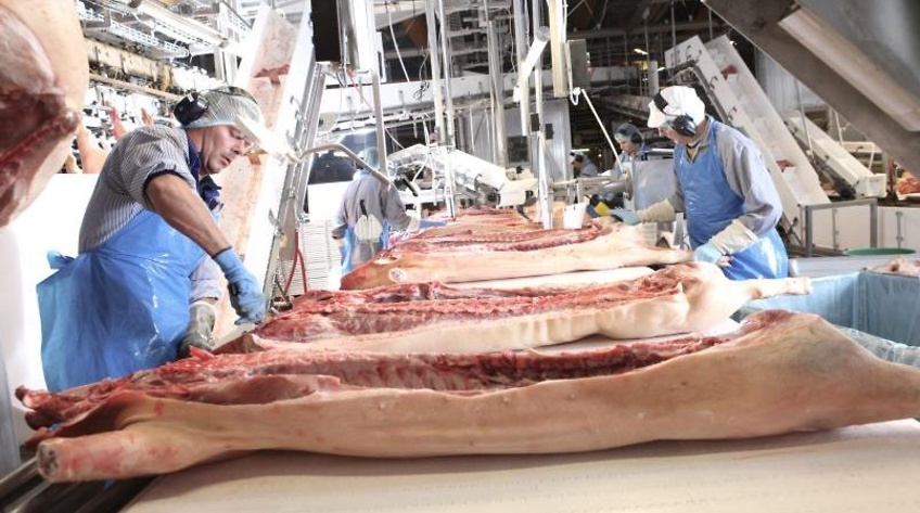 Tican og SB Pork fyrer 55