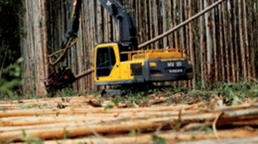 Stora Enso idømt stor millionbøde