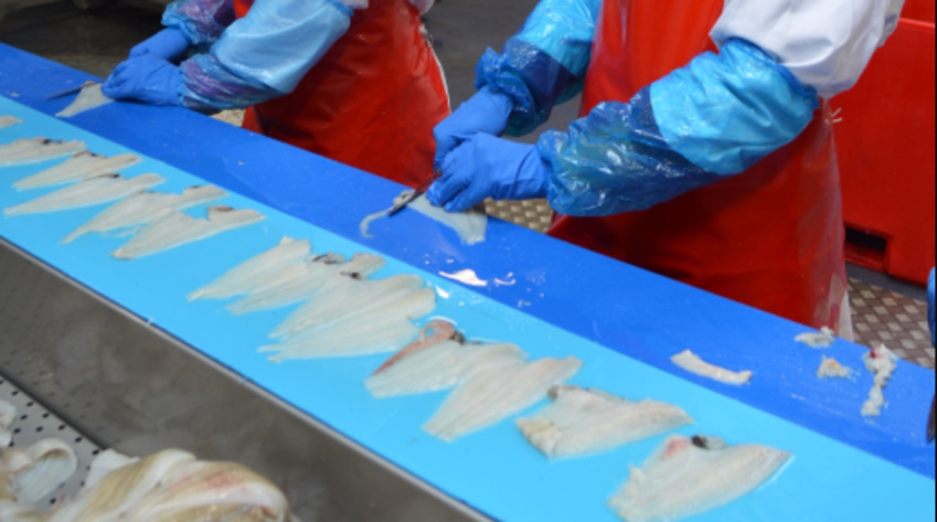 Filetfabrik gør klar til at udvide med frostfisk fra hele verden
