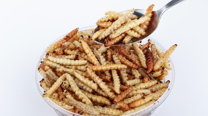 Livsmedelsverket släpper rapport om insekter som mat