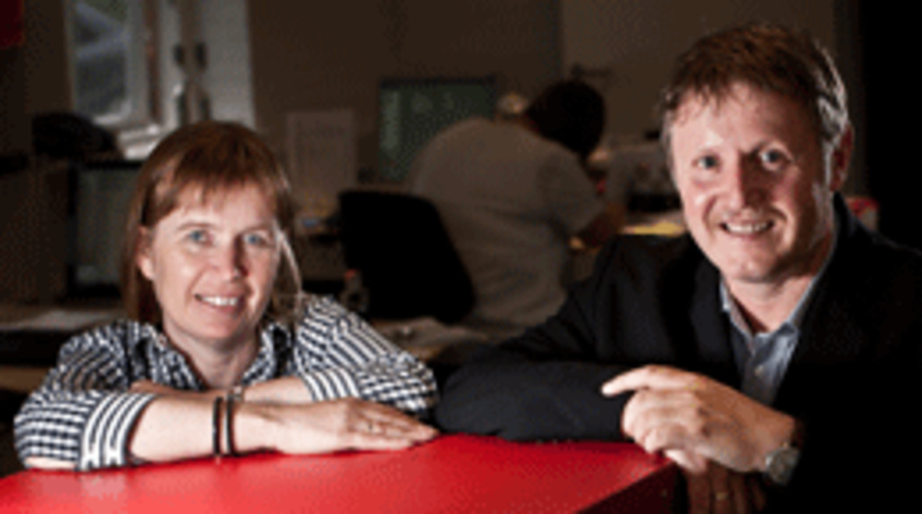 Jebru bliver til Inspecta