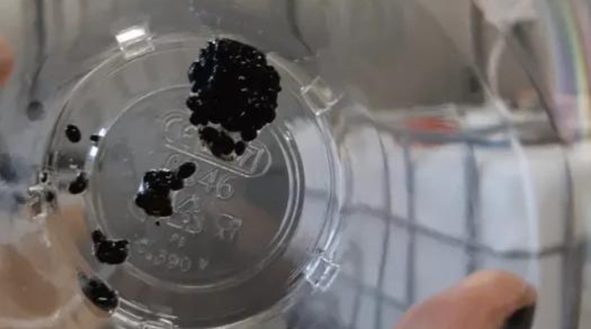 Biologisk rening av metallhaltigt lakvatten