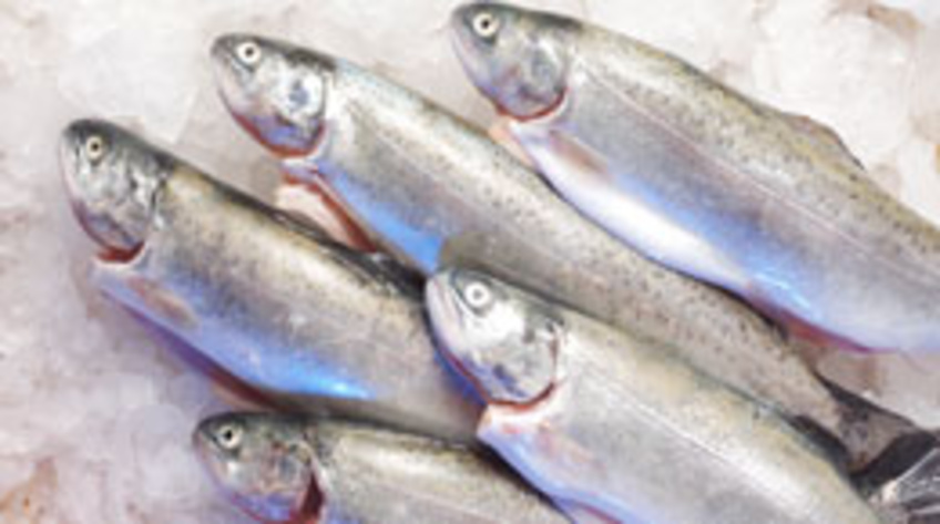 Skagerak Pelagic forlader Hirtshals