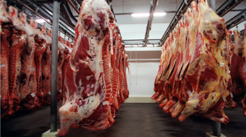 De ingår slaktsamarbete med HK Scan