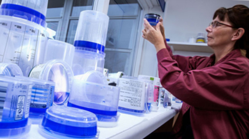 Berry Superfos investerar i Mullsjöenheten