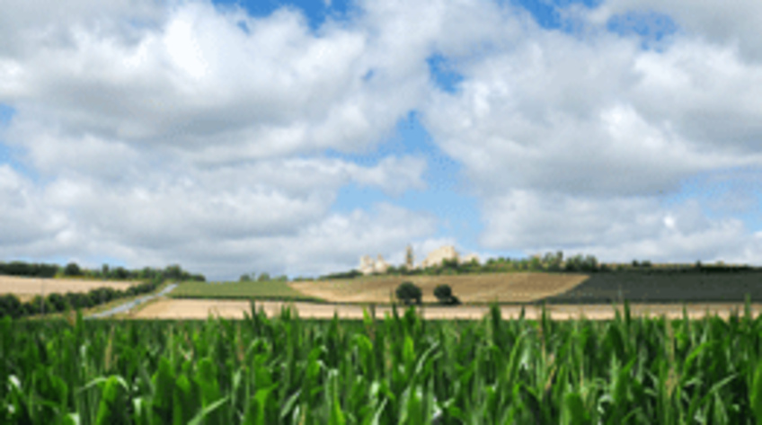 GasCon styrker EnviDan på biogasområdet