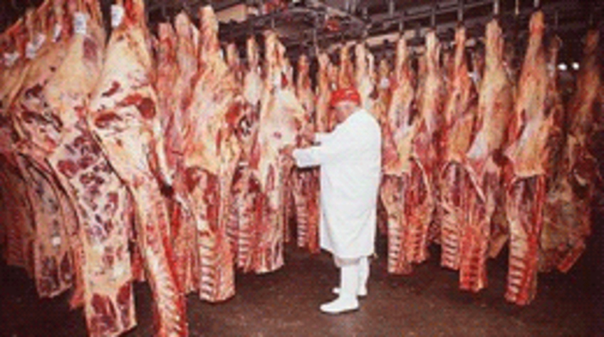 Topmoderne slagteri på vej i Jylland