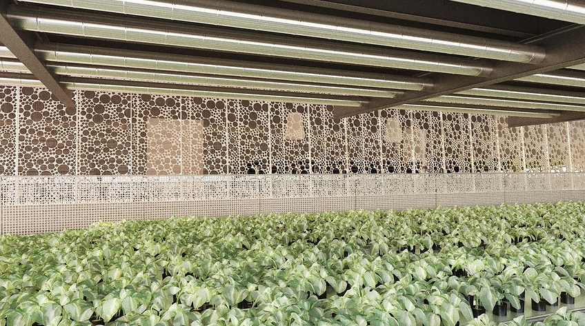 Plantagon vill "skydda innovationen"